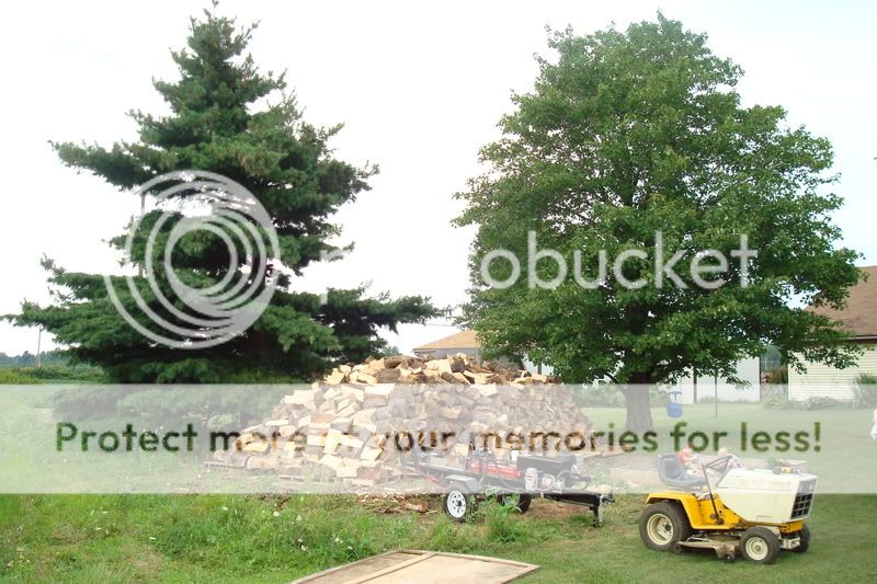 My tree guy dropped off too more loads..... | Arborist, Chainsaw & Tree ...