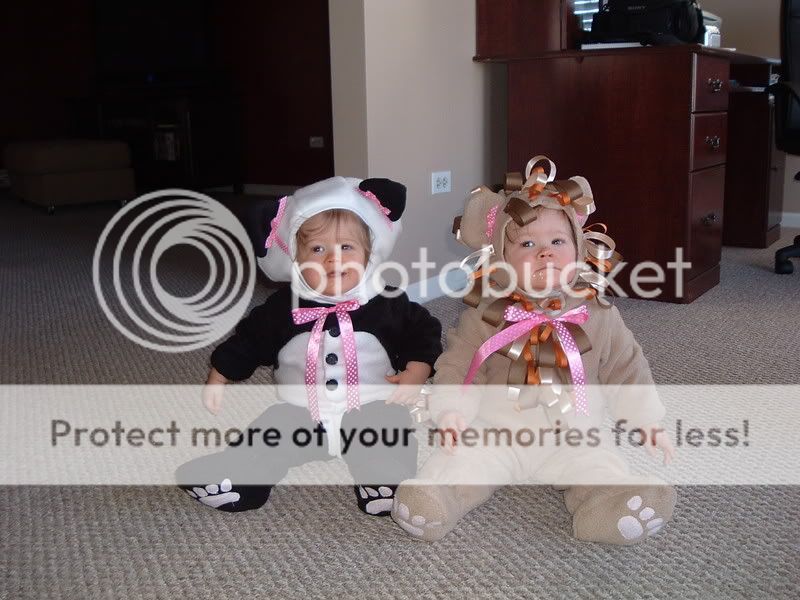 La Palabra del Día : la fiera | SpanishDictionary.com Answers