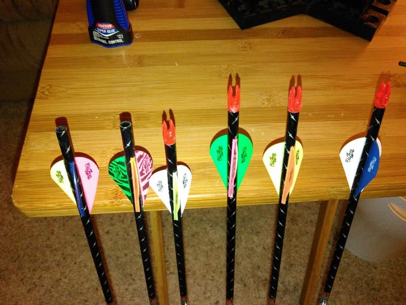 Different colored fletchings | Archery Talk Forum